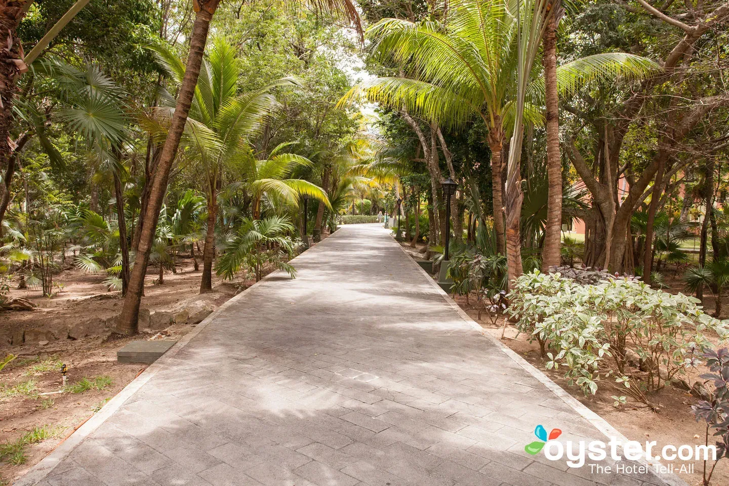 Hotel Riu Tequila Review: What To REALLY Expect If You Stay