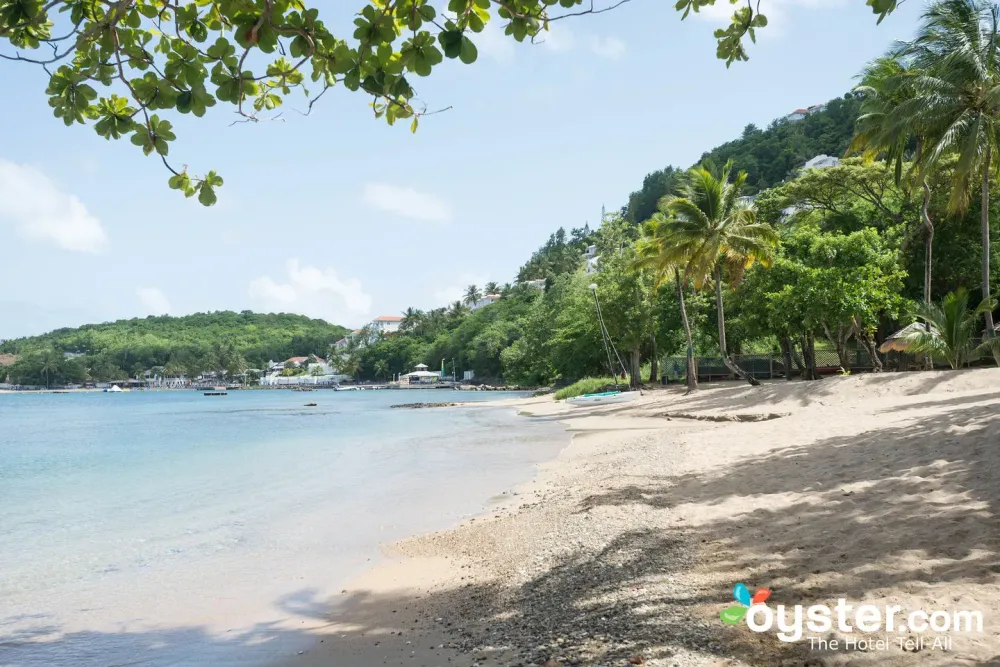 East Winds Review: What To REALLY Expect If You Stay