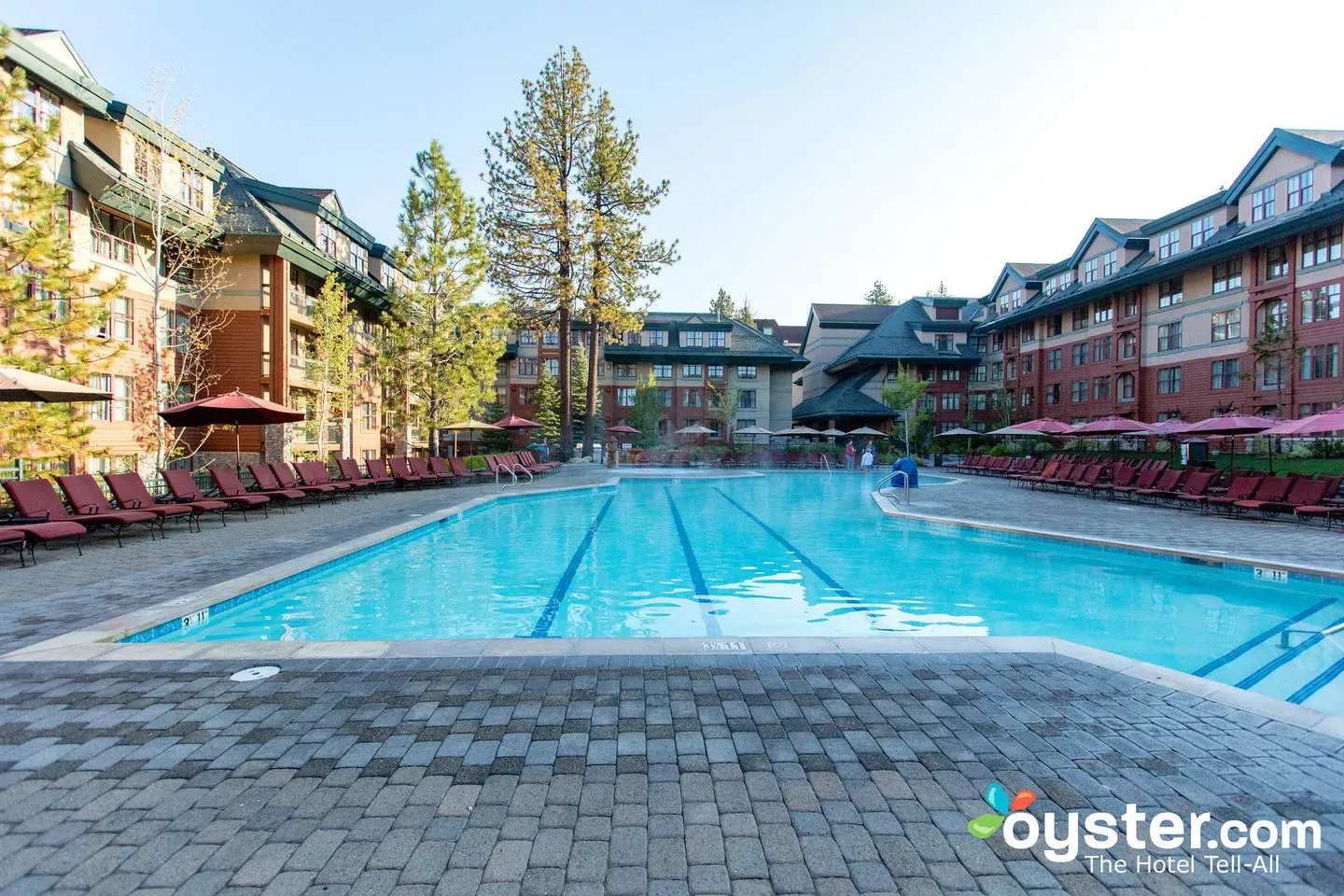 Marriott's Timber Lodge Review: What To REALLY Expect If You Stay