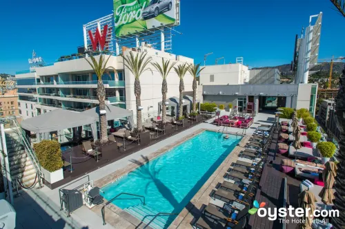 the w hotel hollywood pool