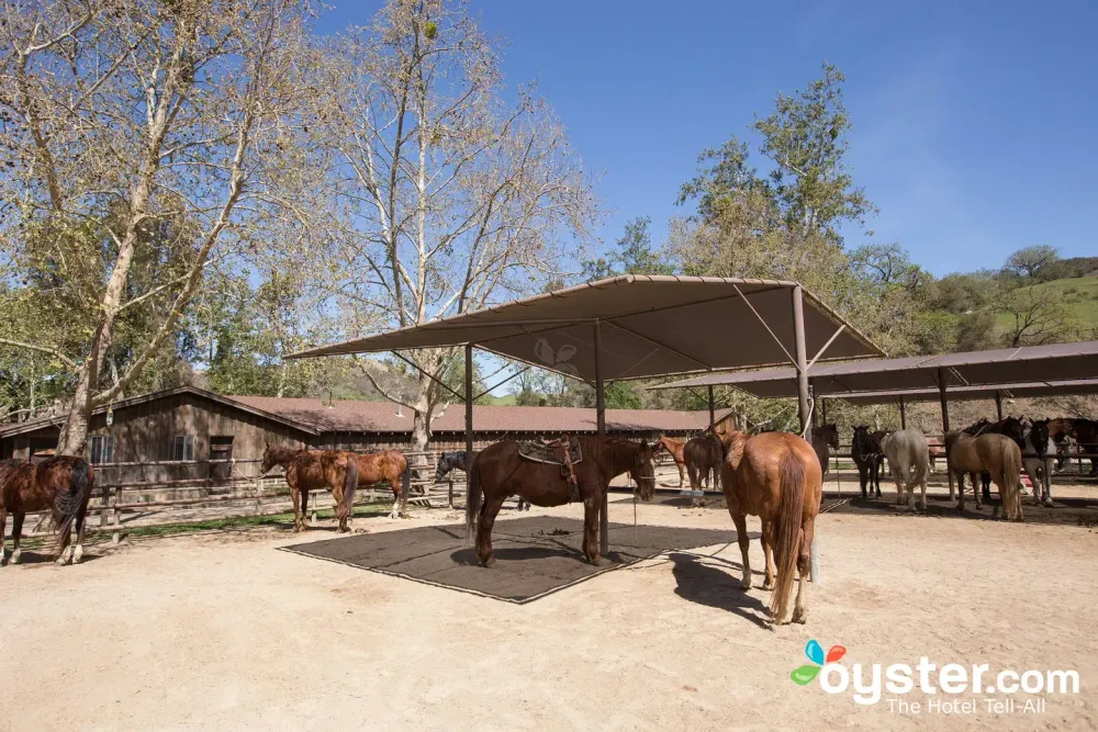 Alisal Guest Ranch & Resort Review: What To REALLY Expect If You Stay