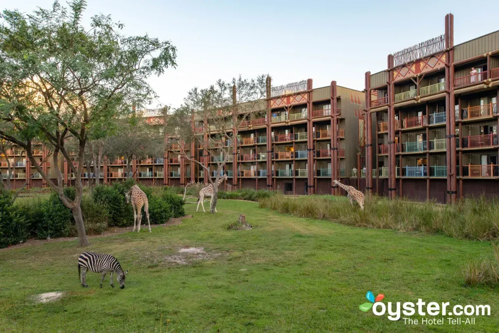 Disney's Animal Kingdom Lodge Review: What To REALLY Expect If You Stay