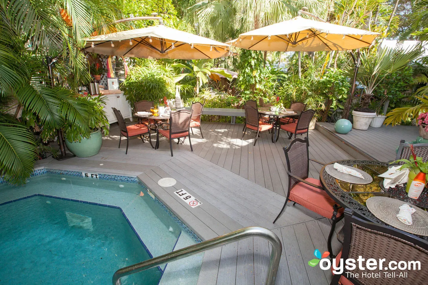 The Mermaid & The Alligator Review: What To REALLY Expect If You Stay