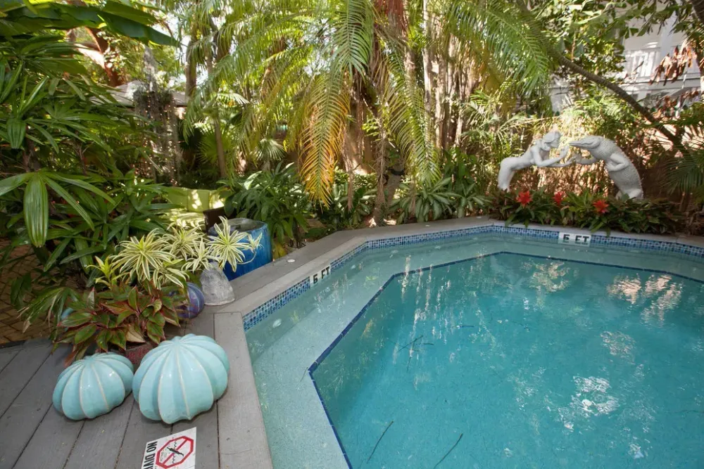 The Mermaid & The Alligator | Oyster.com Hotel Photos