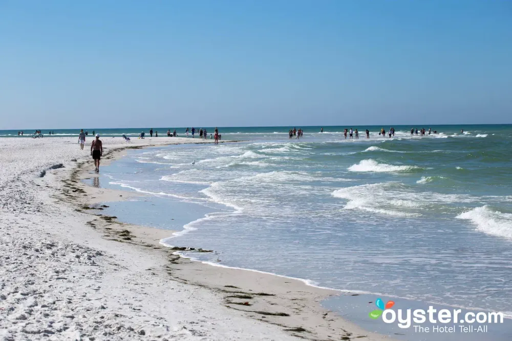 The Best Siesta Key Beach Hotels | Oyster.com | Oyster.com