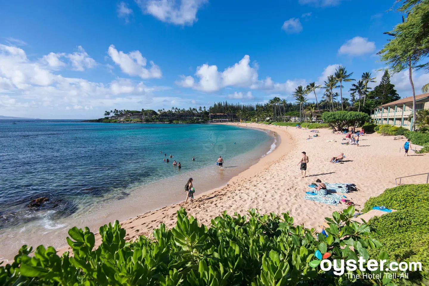 Napili Surf Beach Resort Review: What To REALLY Expect If You Stay ...