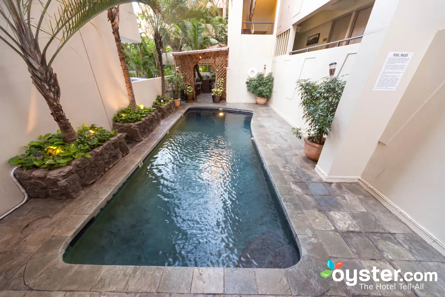 The Equus Review: What To REALLY Expect If You Stay