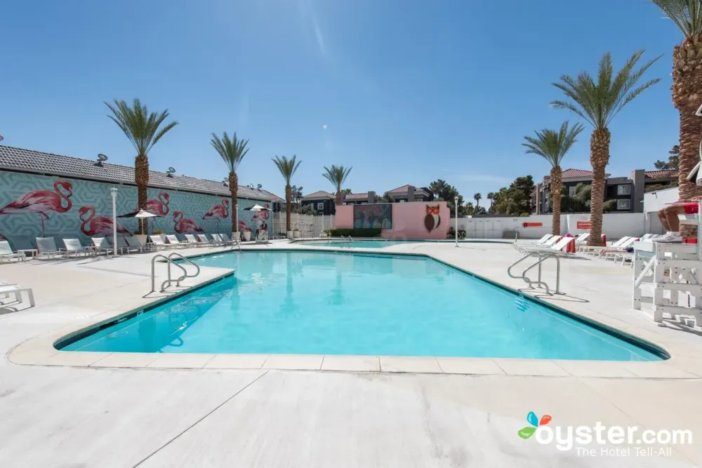 The 10 Best Spring Break Party Hotels in Las Vegas | Oyster.com ...