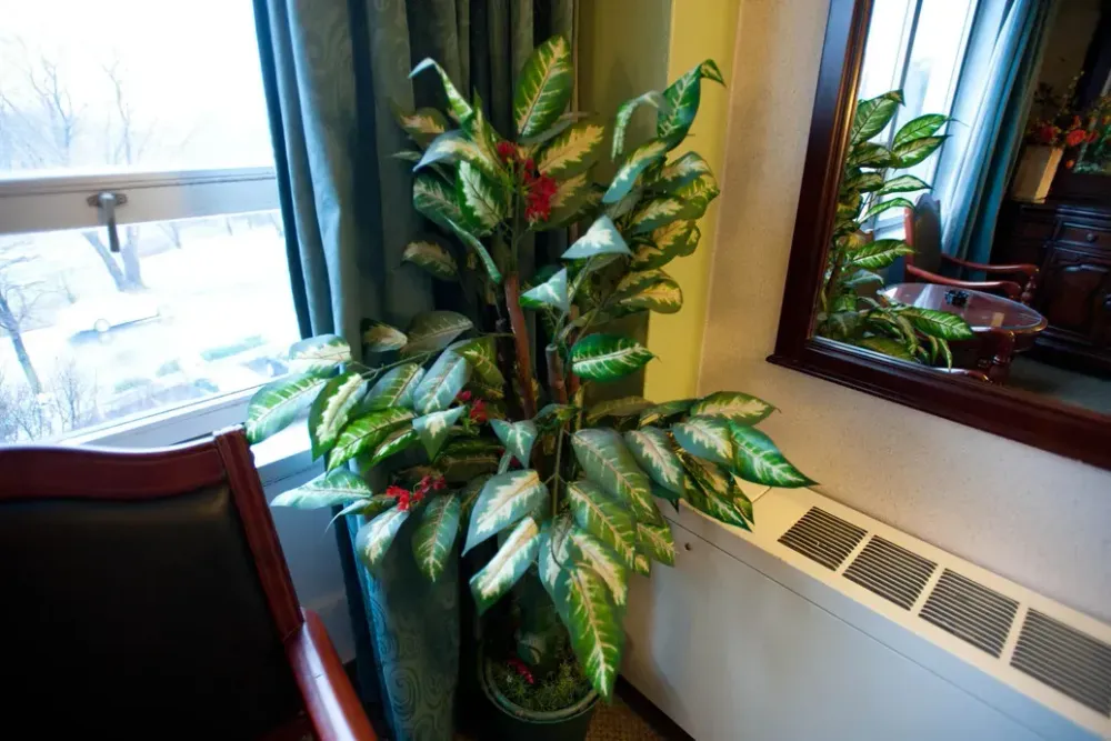 Kew Motor Inn | Oyster.com Hotel Photos