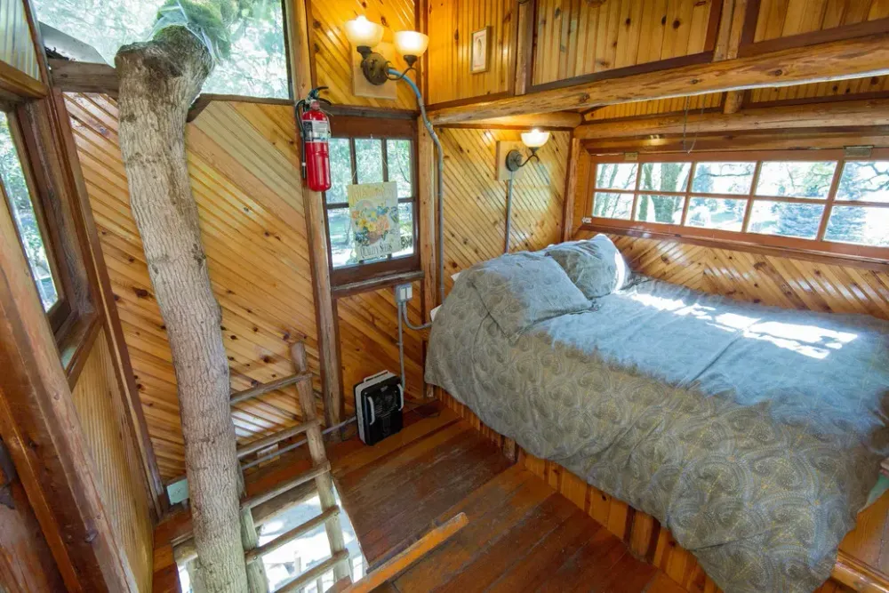 Out 'n' About Treehouse Treesort | Oyster.com Hotel Photos