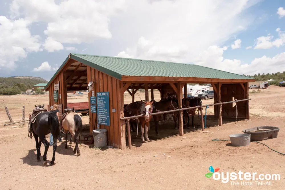 Zion Ponderosa Ranch Resort Review: What To REALLY Expect If You Stay