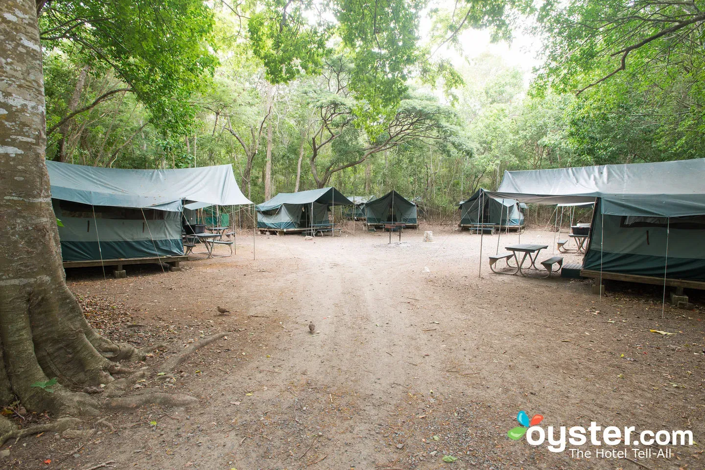 Cinnamon Bay Review: What To REALLY Expect If You Stay | Oyster.com